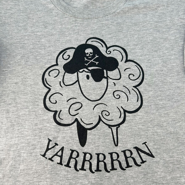 Treasure Goddess | Hand Dyed Luxury Yarn with Pirate Theme